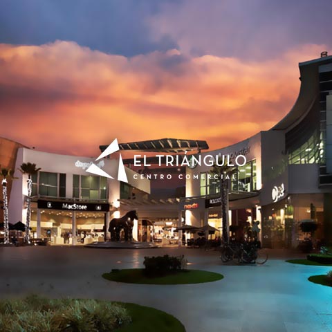 Proyectos Web: Diseño Gráfico y eCommerce realizados por VICOM